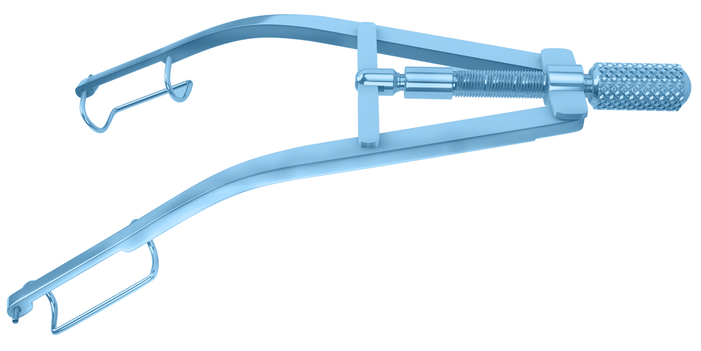 CHRISTMAS GIFT – Rumex EU